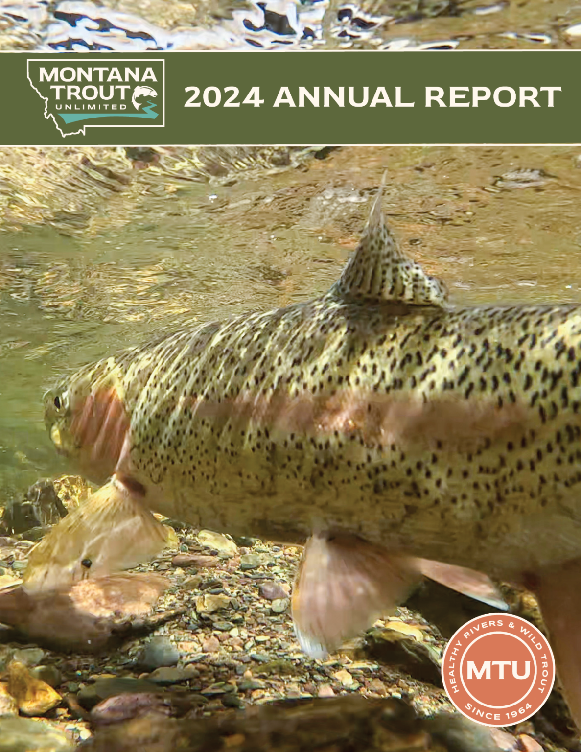 Spring 2025 Trout Line & FY24 Annual Report - Montana Trout Unlimited